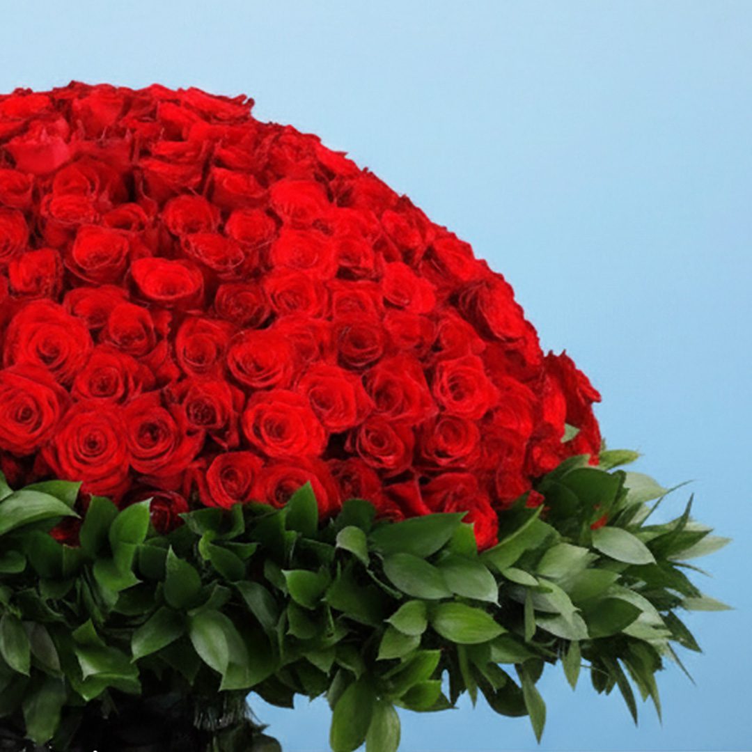 500 Red Roses for Valentine's - 500 Long Stem Roses Delivery