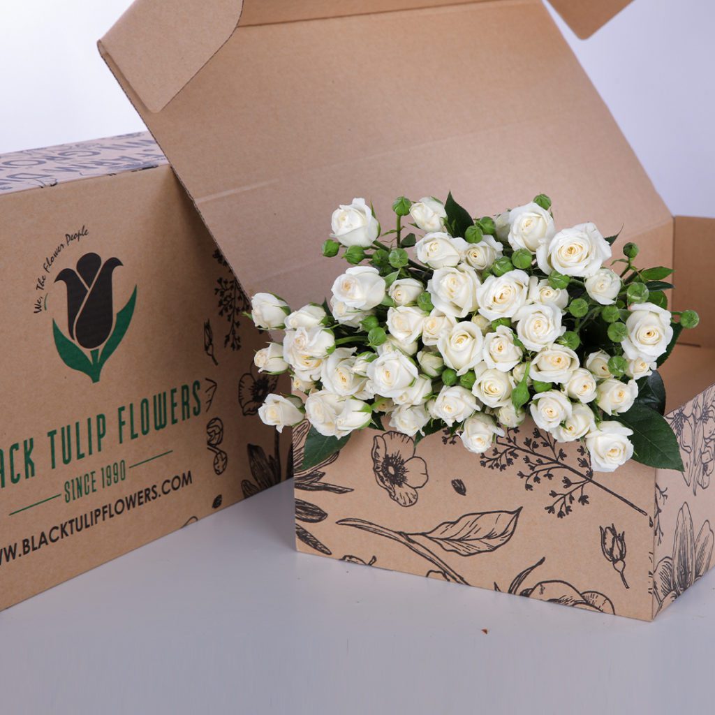 Spray Roses Snowflake with vase | Black Tulip Flowers Dubai