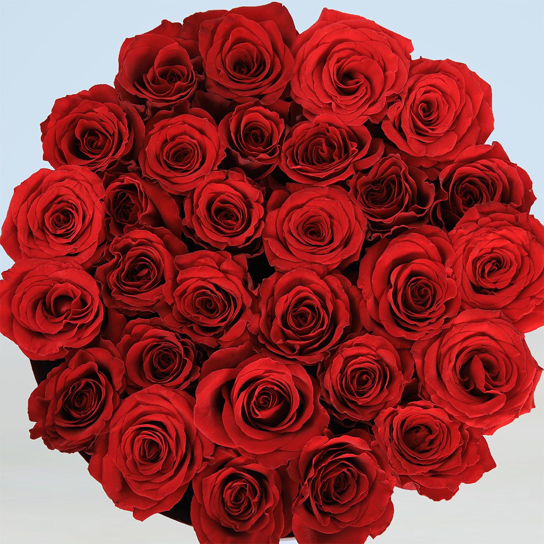 Fancy Red Roses | Box of Flowers UAE