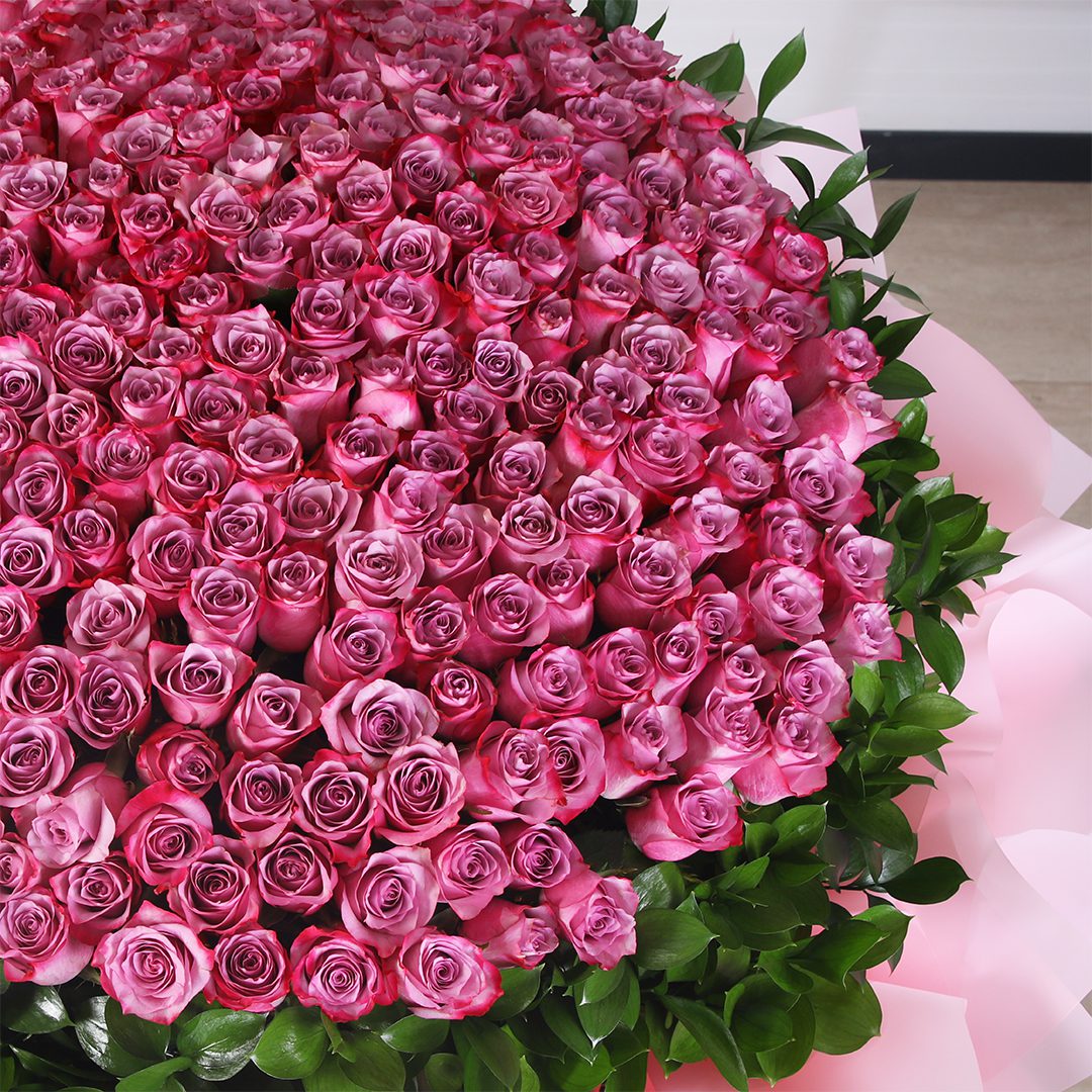 Outstanding Purple Roses - Flower Delivery Dubai, UAE