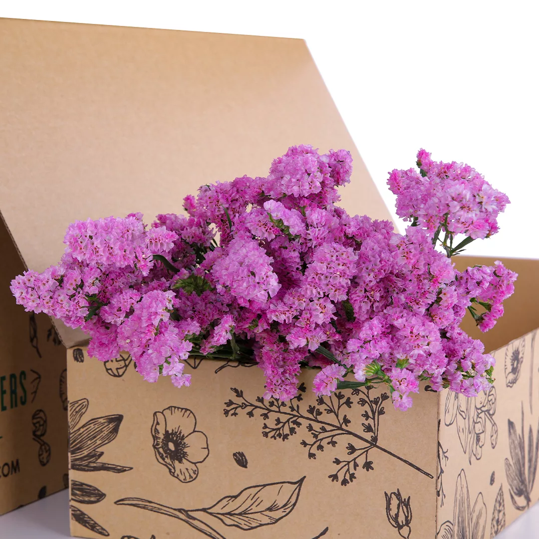 Buy Statice Pink Flowers Online | Flower Delivery Dubai