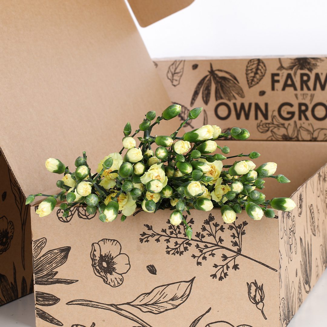 Shop Carnation Spray Yellow Flowers | Flower Delivery Dubai