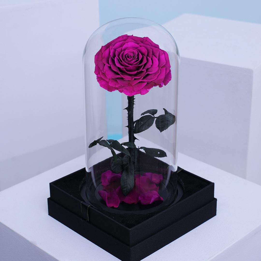 Single Purple Forever Rose | Elegant Preserved Purple Bloom