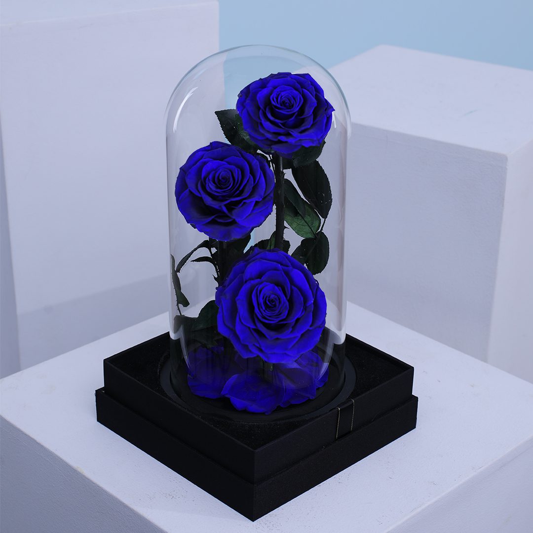 Blue Trio Forever Rose | 3 Royal Blue Infinity Roses