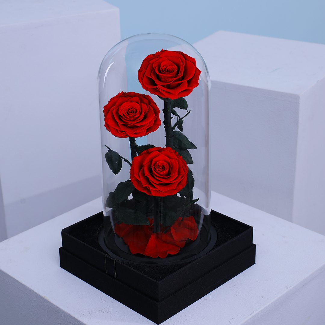 Red Trio Forever Rose - 3 Red Infinity Roses in Glass Dome