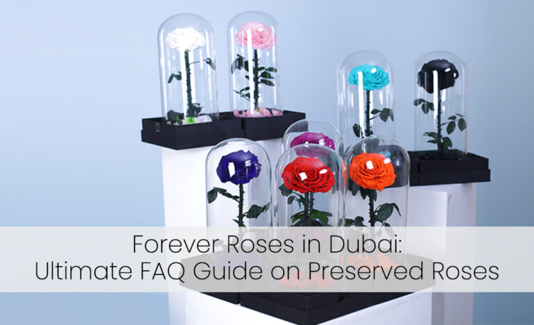 Forever Roses in Dubai: Ultimate FAQ Guide on Preserved Roses
