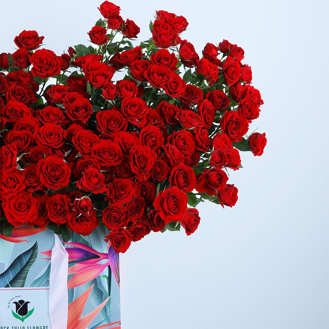 Red Rosesin Bag | Perfect Gift