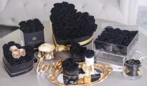 Black Rose Meaning and Symbolism