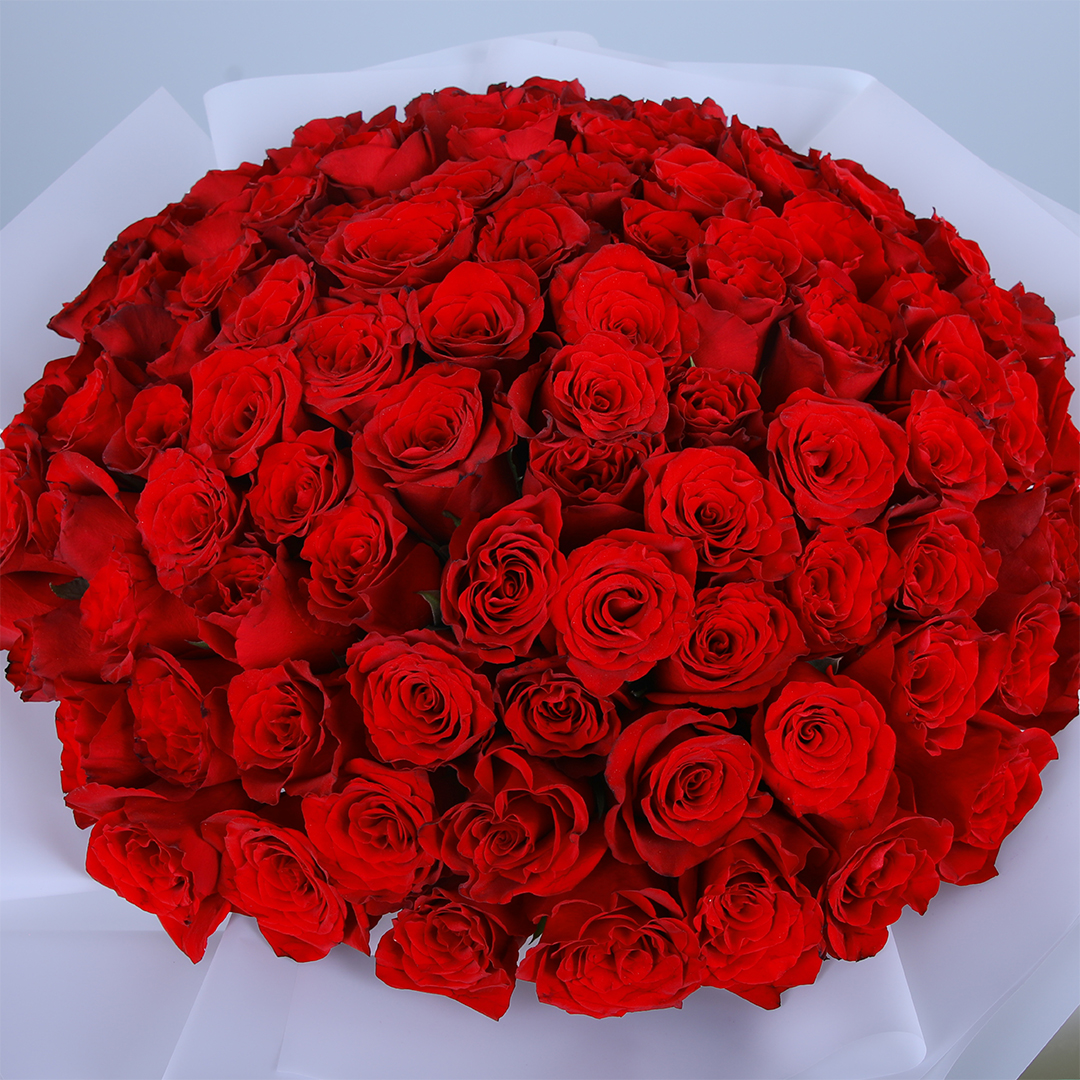 Buy 101 Red Roses Bouquet in White Wrap - Long stems
