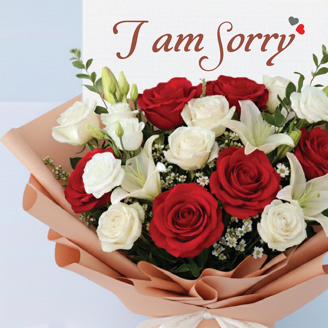 I am Sorry Bouquet | Red & White Roses