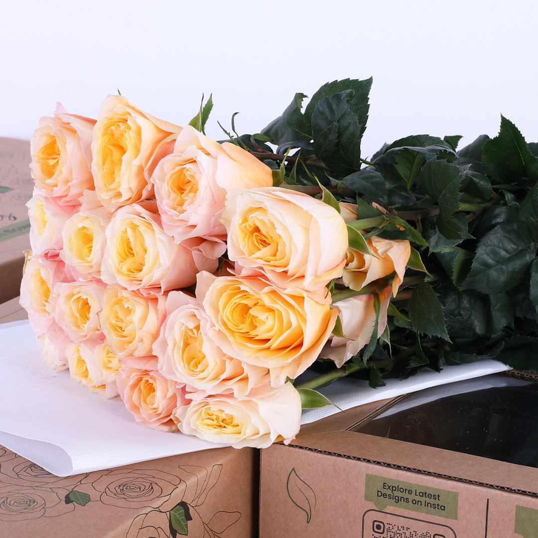 Rose Ecuador Kings Cross Peach | Flowers Bunch