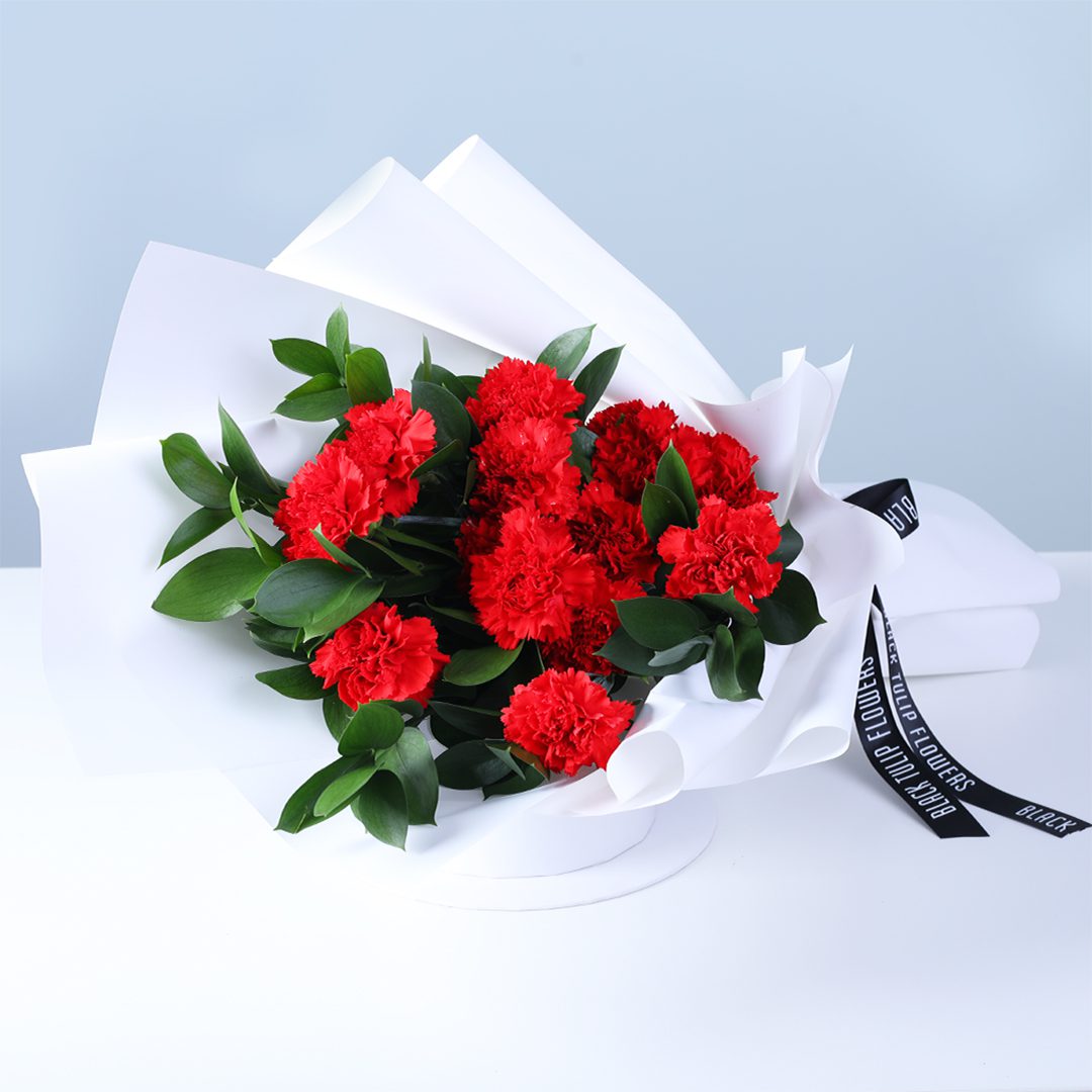 20 Red Carnations & Red Teddy Valentine Combo Gift