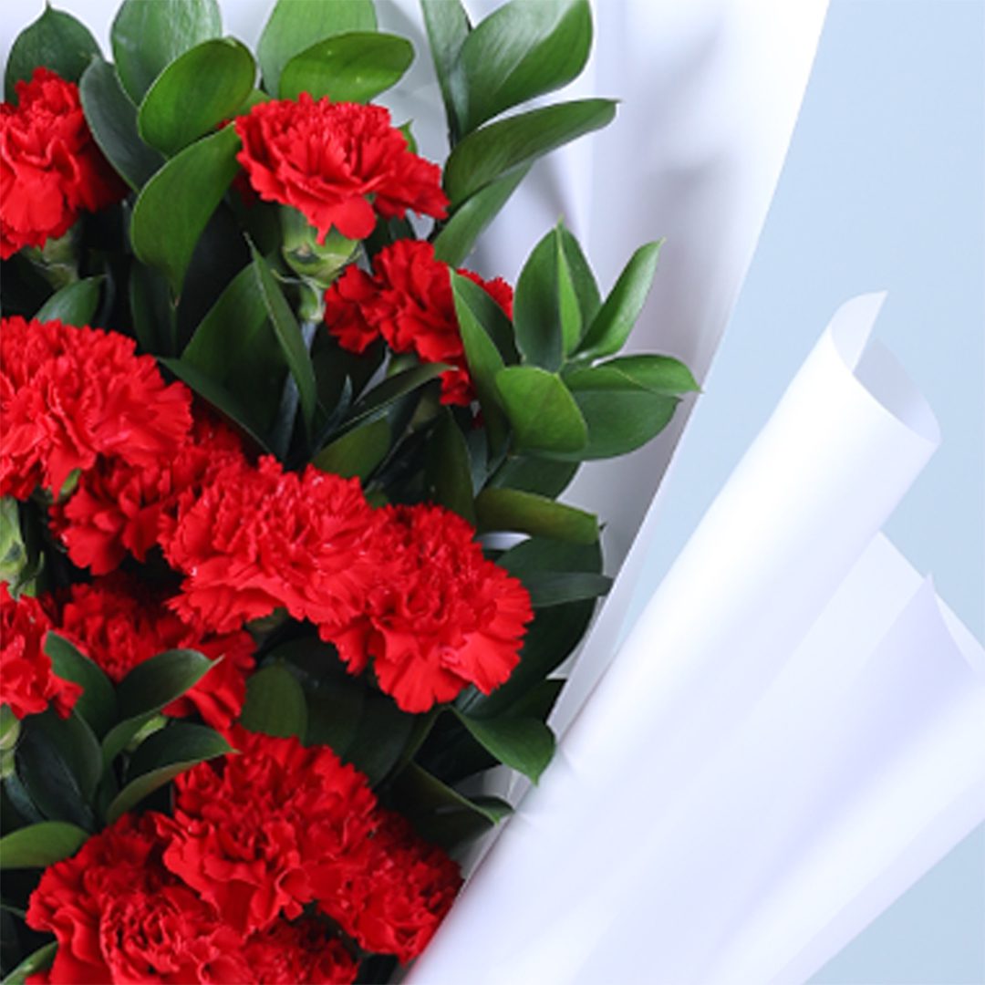 20 Red Carnations Bouquet with Ruscus | Valentine’s Day Flowers