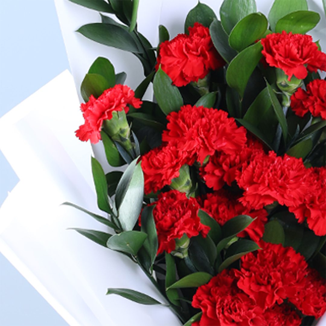20 Red Carnations & Red Teddy Valentine Combo Gift