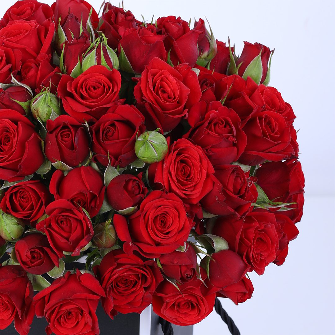 Red Spray Roses in Black Box | Valentine Flower Box