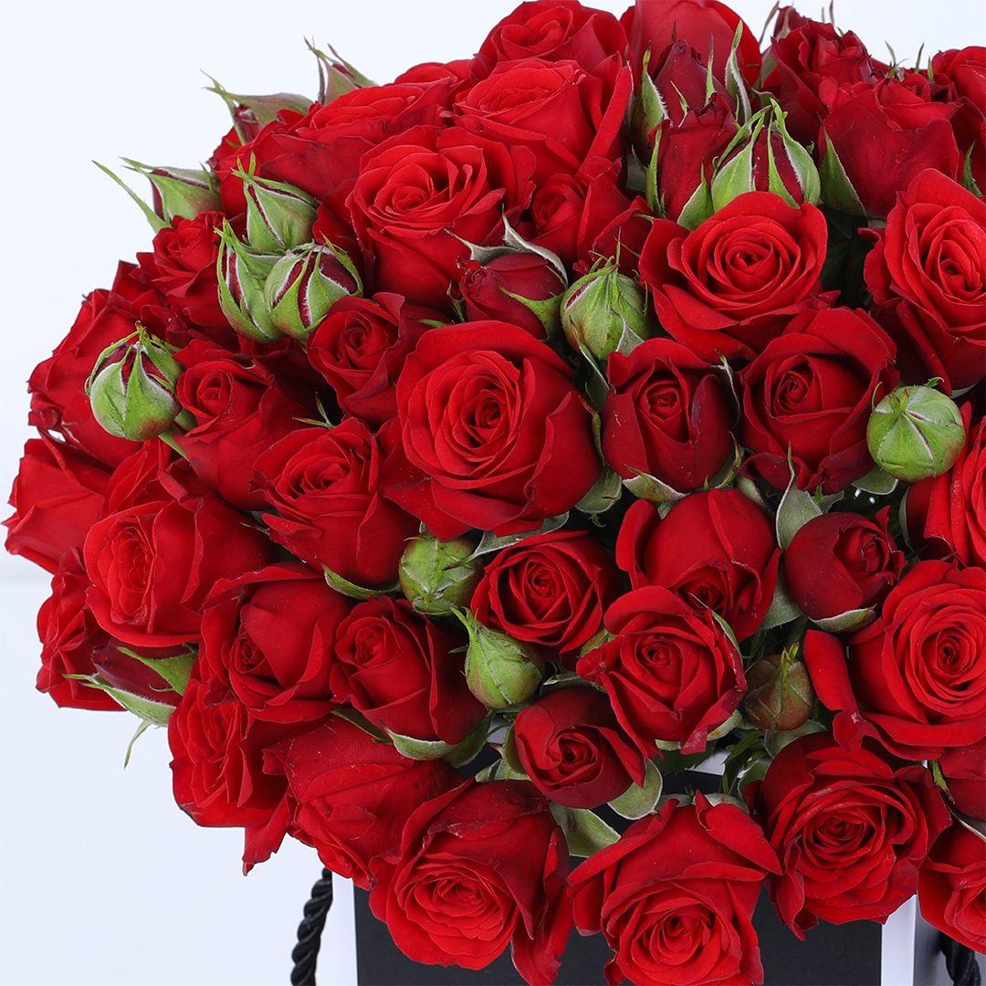 Red Spray Roses in Black Box | Valentine Flower Box