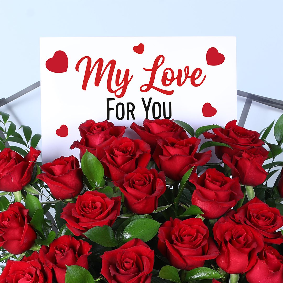 25 Red Roses in Clear Wrap | Romantic Red Bouquet