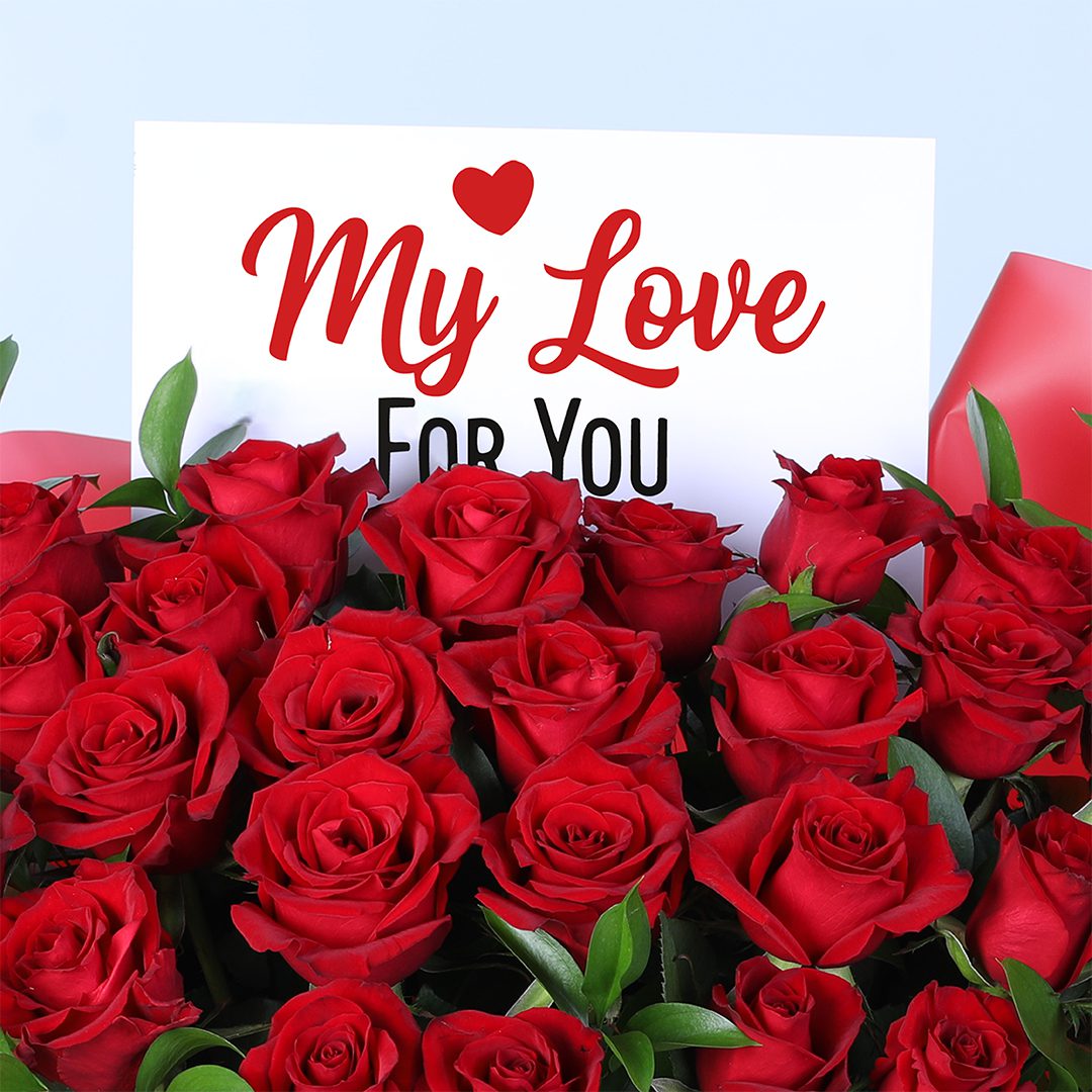 25 Red Roses in Red Wrap | Red Roses Bouquet