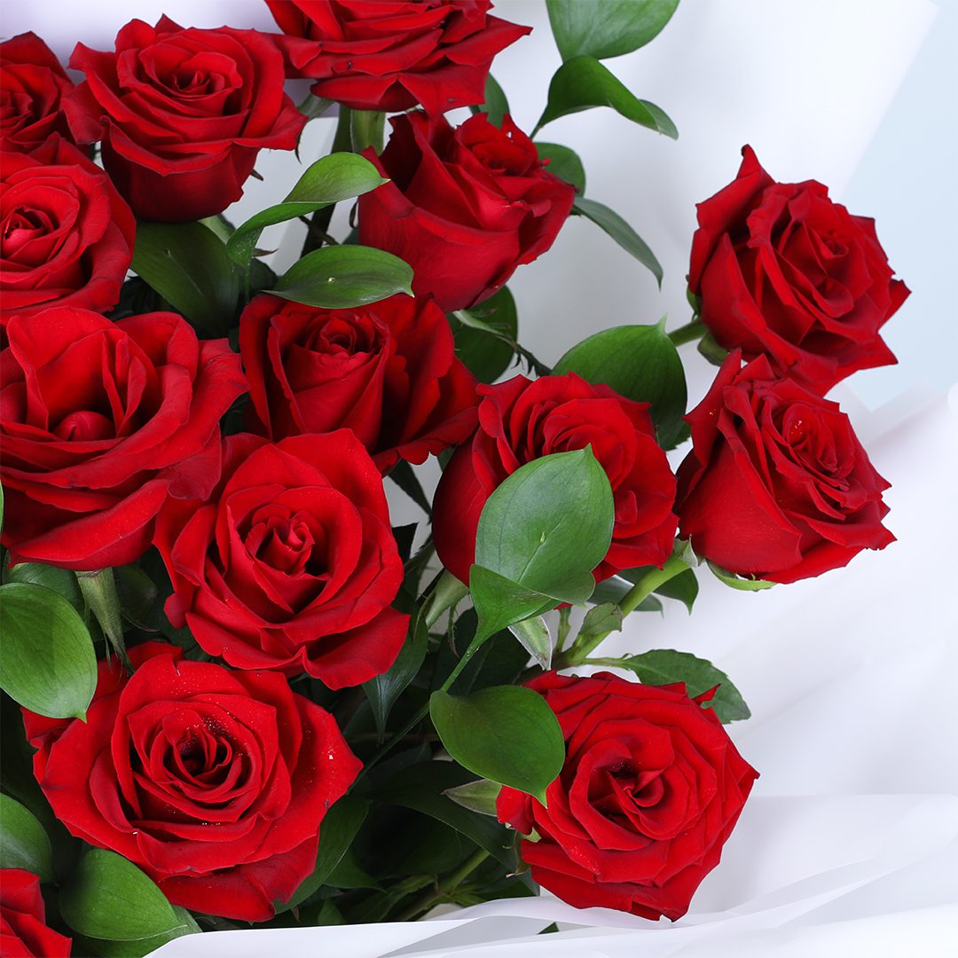 25 Red Roses in White Wrap | Romantic Rose Bouquet