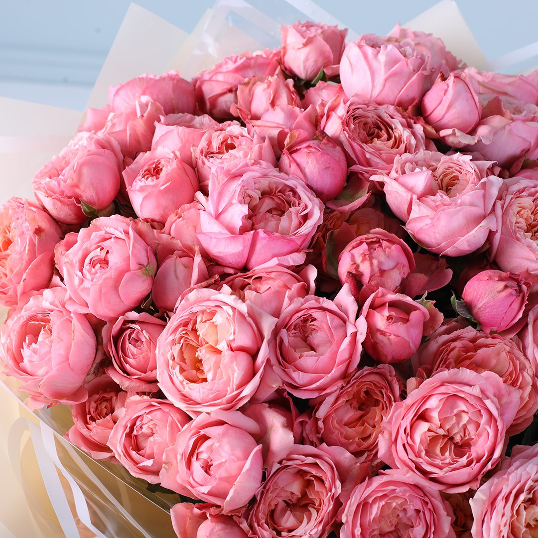 Bombastic Light Pink Rose Peony & Red Teddy | V-Day Gift