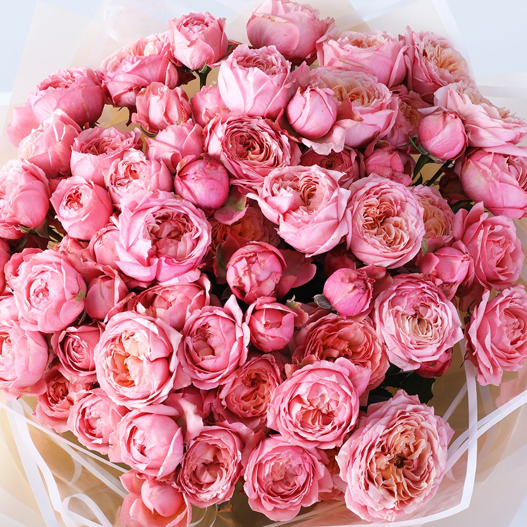 Bombastic Light Pink Roses & Red Teddy | V-Day Gift