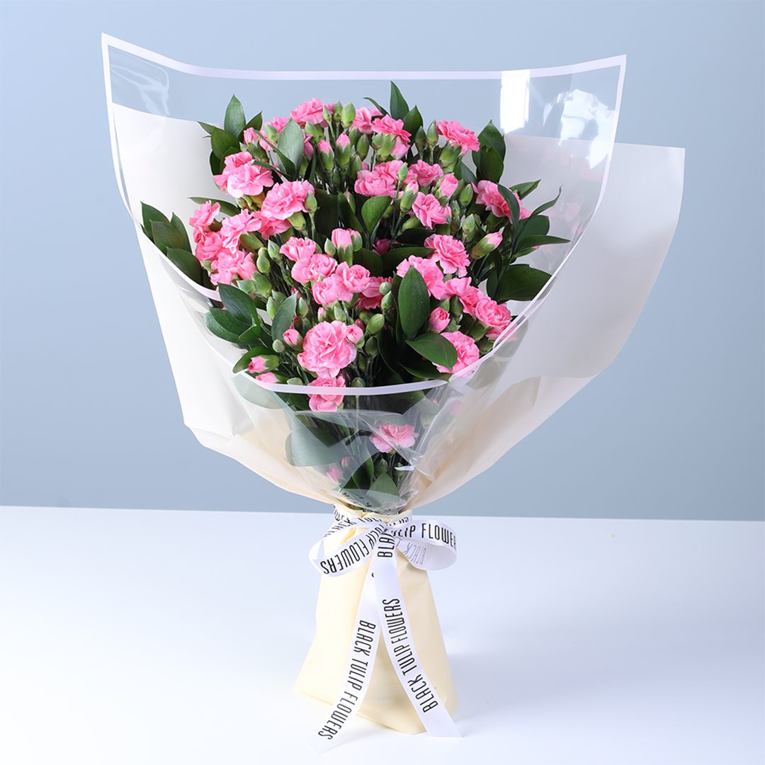 20 Light Pink Carnations & Teddy | First Valentine Gift