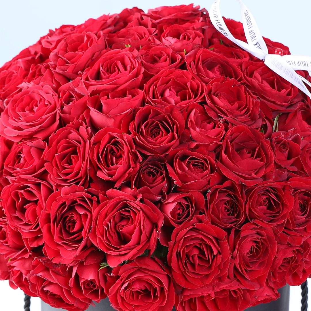 30 Spray Roses Box & Teddy | Valentine Delivery UAE