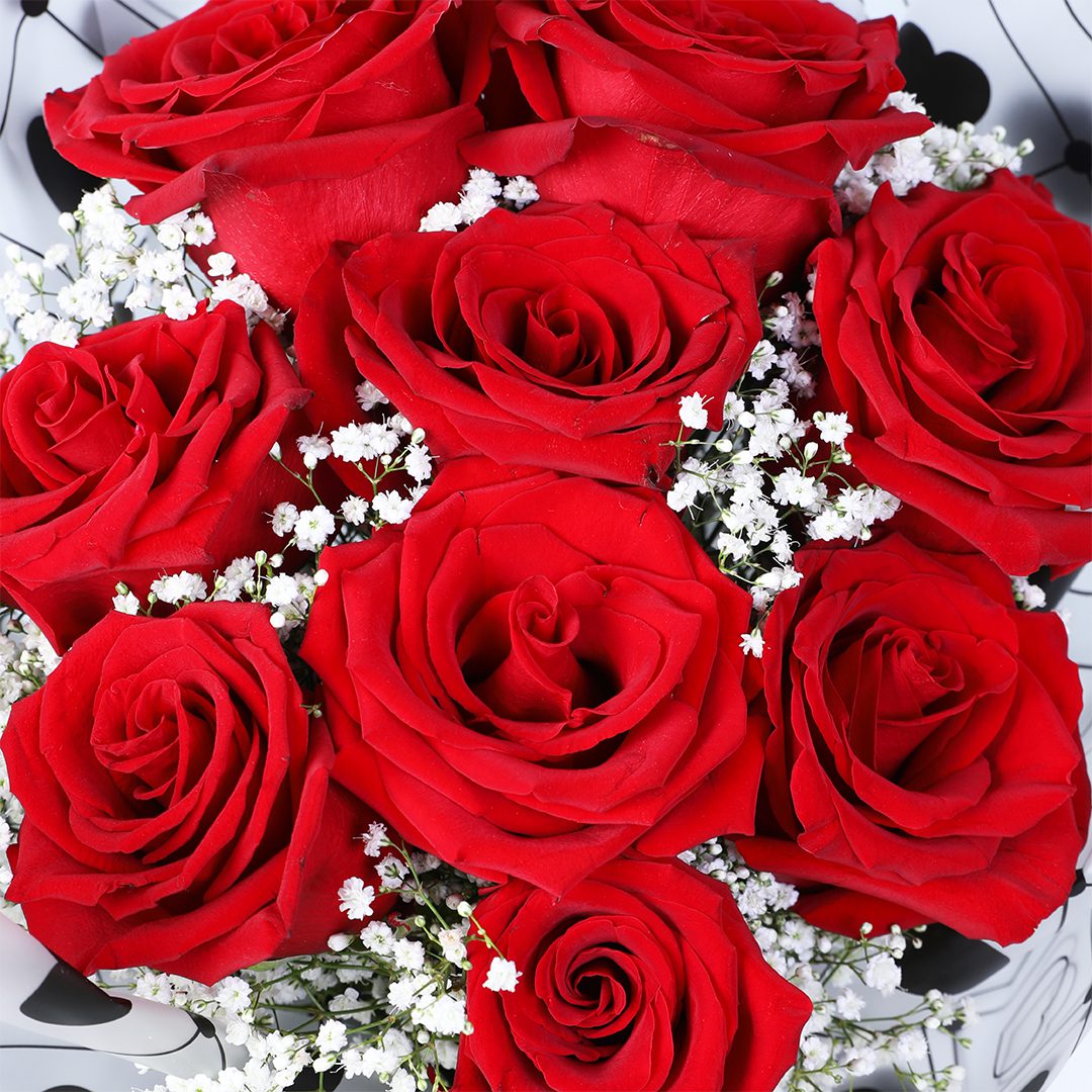 Red Roses for Valentine’s Day | Classic Romantic Bouquet