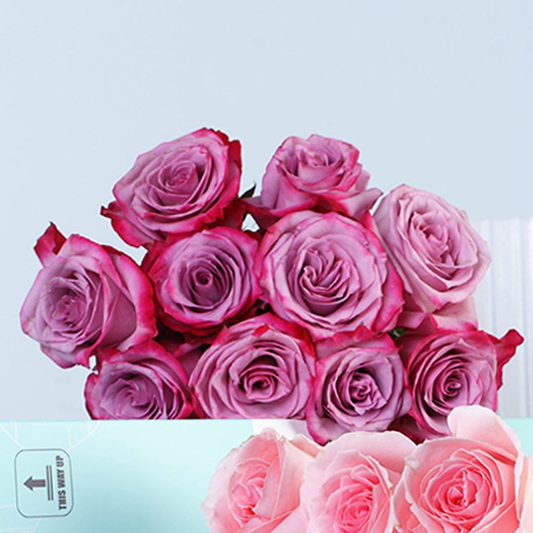 Deep Purple & Pink Roses Bunch | Roses for DIY