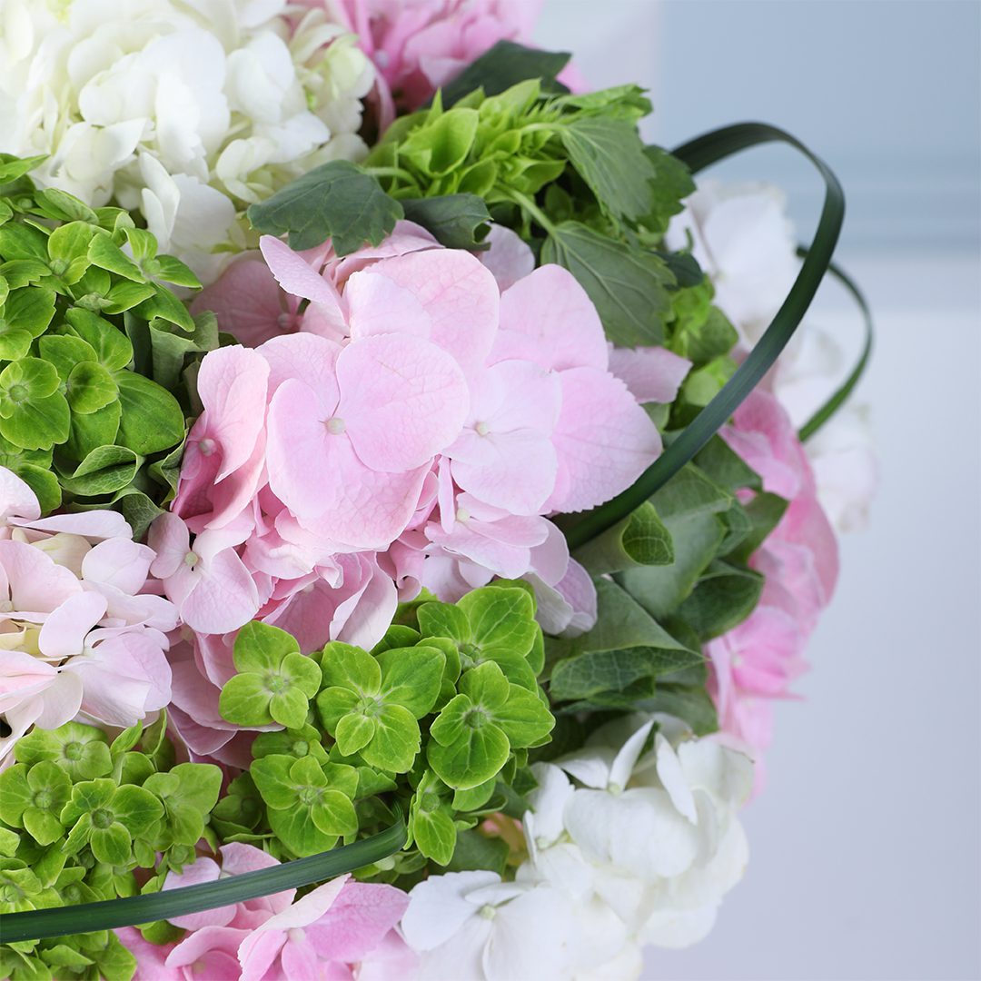 Pastel Hydrangea Flower Box | Premium Hydrangea Gift